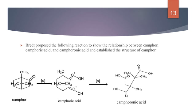 structural elucidation of camphor | PPTX