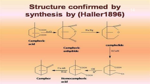structural elucidation of camphor | PPTX