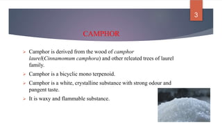 structural elucidation of camphor | PPTX