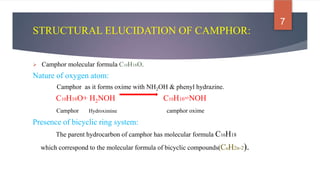 structural elucidation of camphor | PPTX