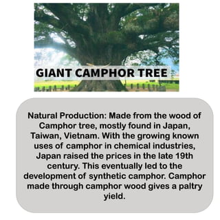 Camphor | PDF