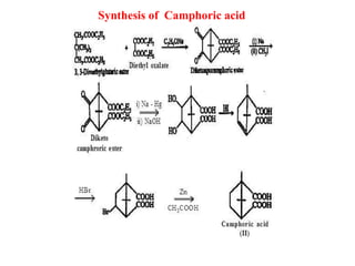 Camphor structural elucidation | PPT