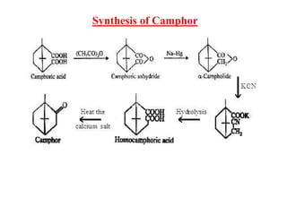 Camphor structural elucidation | PPT