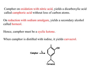 Camphor structural elucidation | PPT