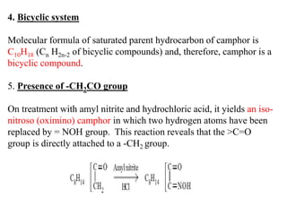 Camphor structural elucidation | PPT