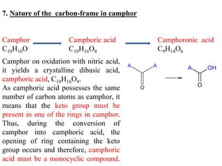 Camphor structural elucidation | PPT | Chemistry | Science