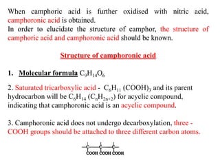 Camphor structural elucidation | PPT