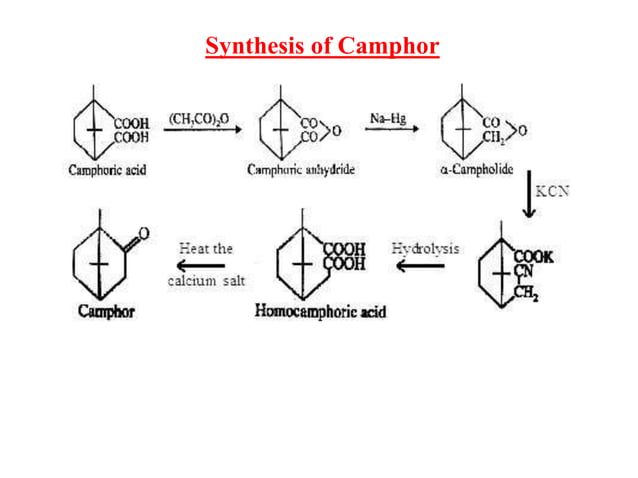 Camphor structural elucidation