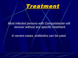 Camphylobacter | PPT