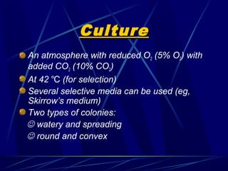 Camphylobacter | PPT