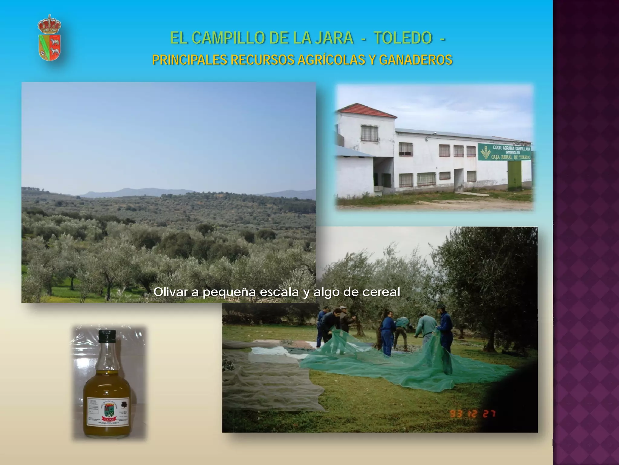 El Campillo de la jara | PPT