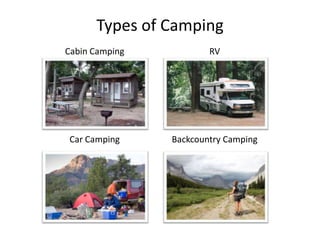 Camping & Design | PPTX