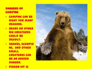 Camping | PPTX