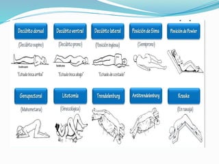 Campo C. Posiciones anatomicas.pptx............. | PPTX