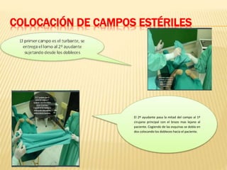CAMPO ESTERIL VI PERIODO.docx.pptx