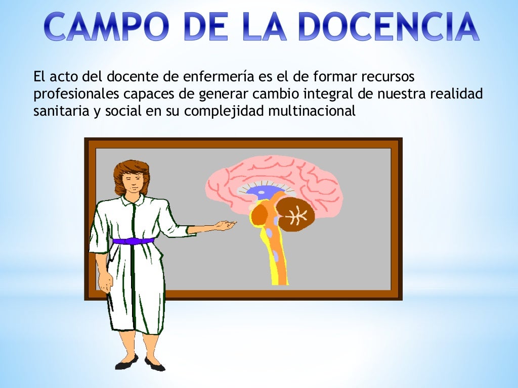 Campos De Accion D Enfermeria Para La Minicharla