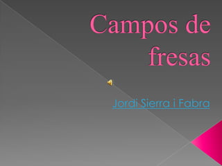 Campos de fresas | PPSX