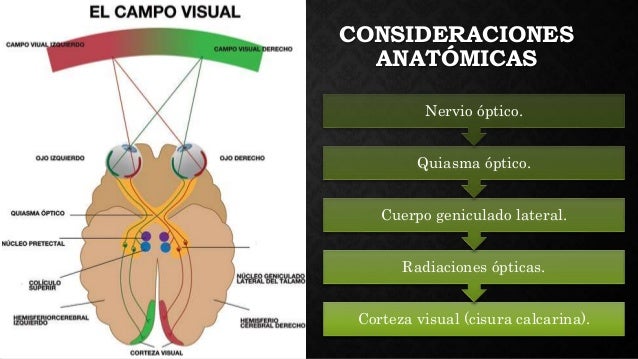Campos visuales