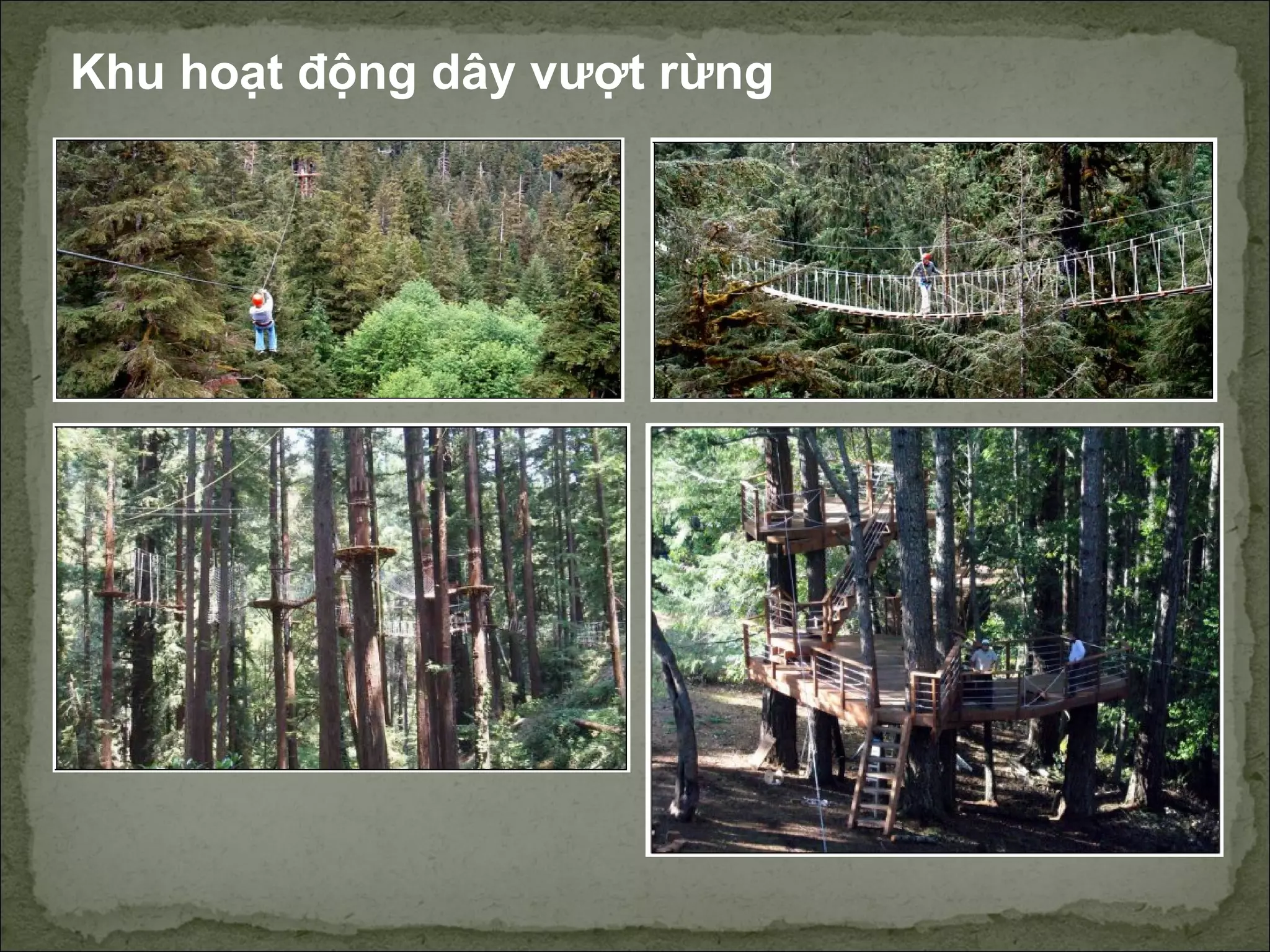 Campsite project presentation | PPT