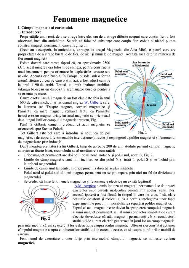Campul magnetic-al-curentului | PDF