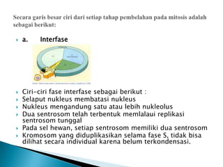 IDK 1(Ilmu Dasar Keperawatan 1) : reproduksi sel, mitosis dan meiosis ...