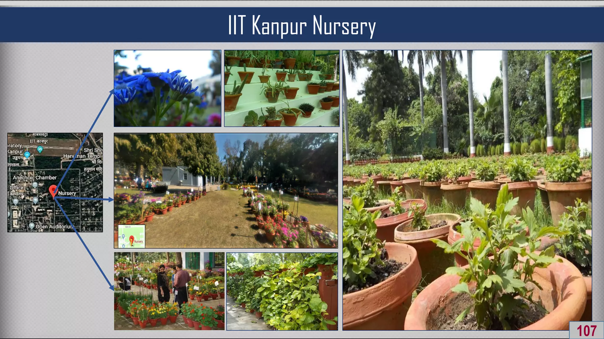 Campus landscaping iitk | PDF