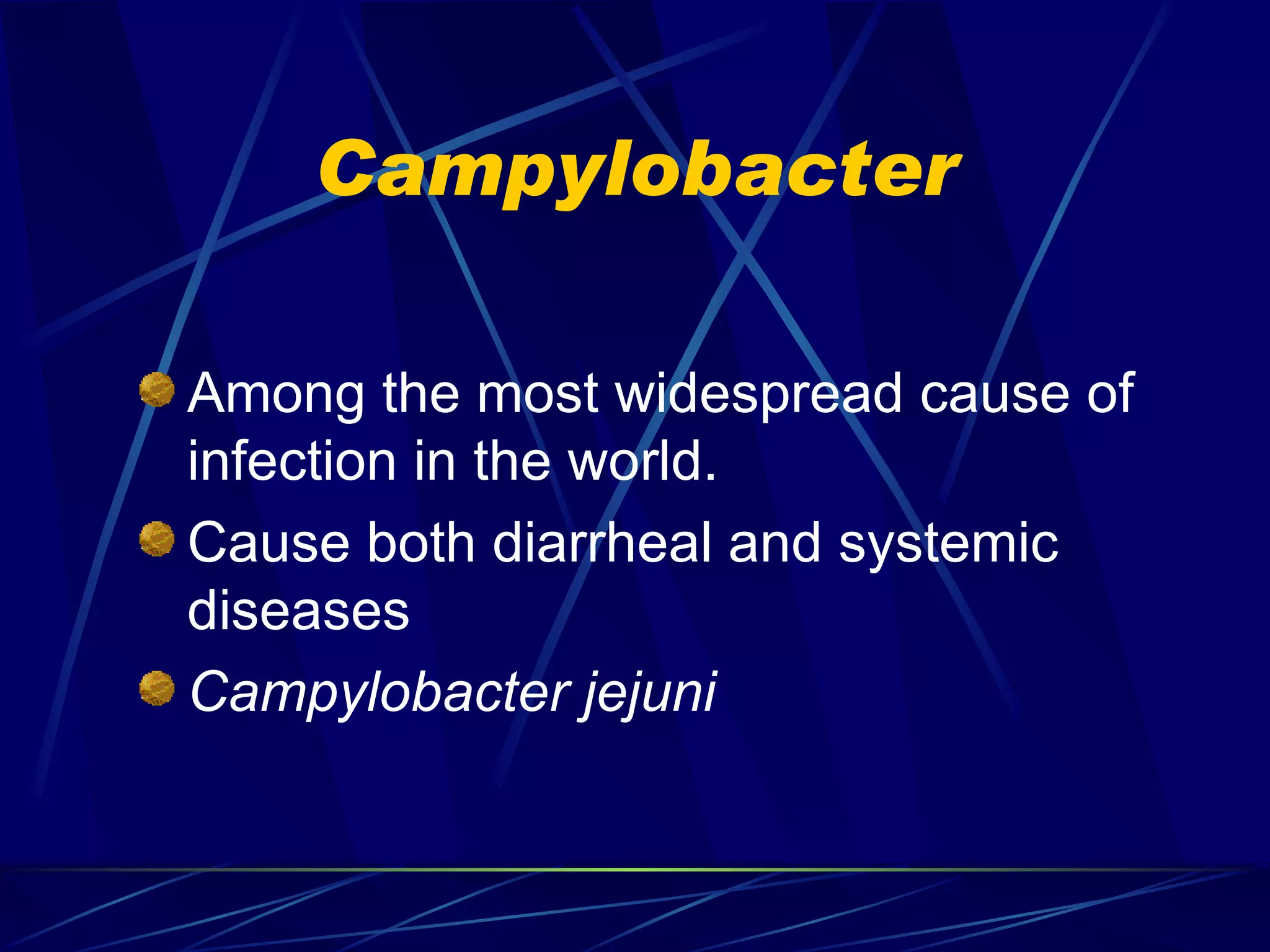 Campylobacter | PPT