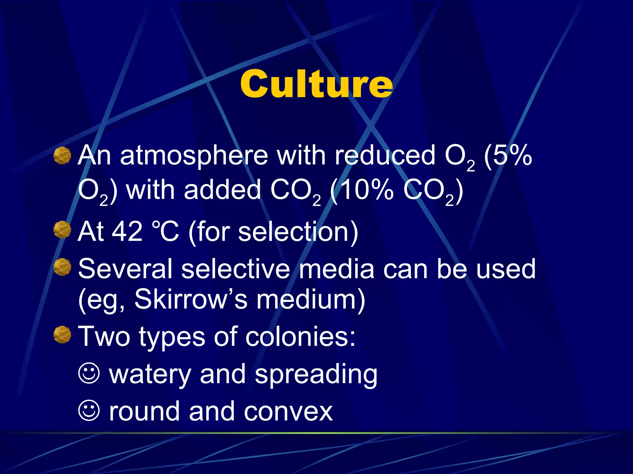 Campylobacter | PPT