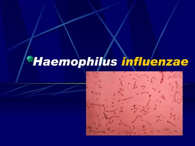 Campylobacter | PPT | Digestive Disorders | Diseases and Conditions