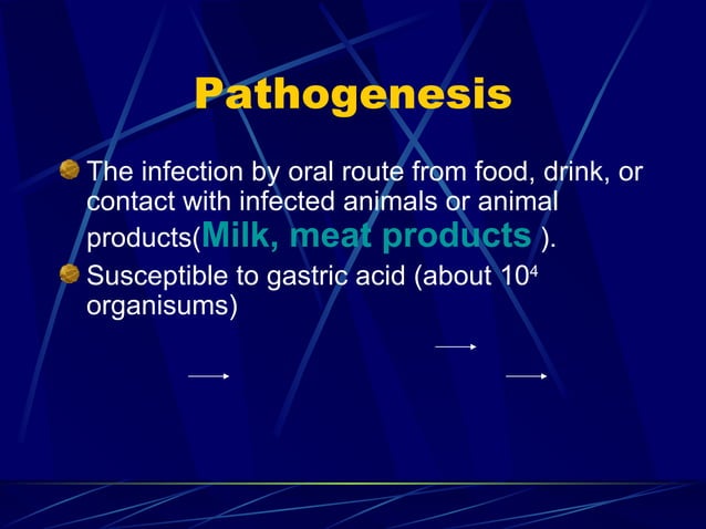 Campylobacter | PPT | Digestive Disorders | Diseases and Conditions