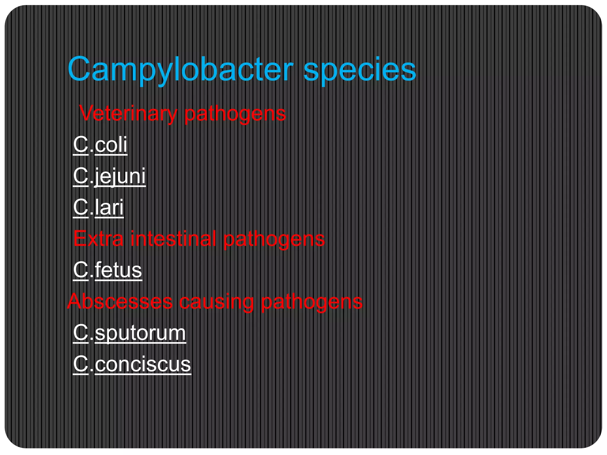 Campylobacter | PPTX