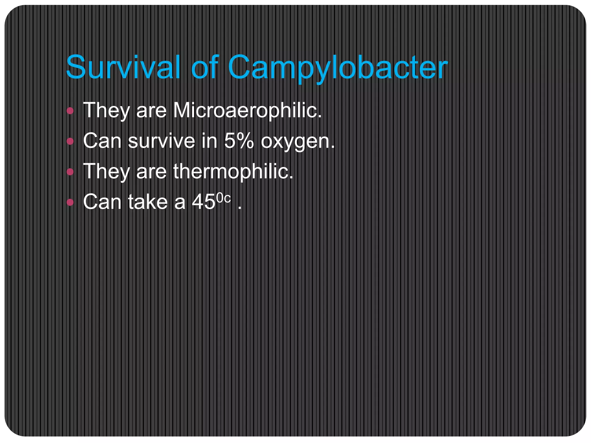 Campylobacter | PPTX