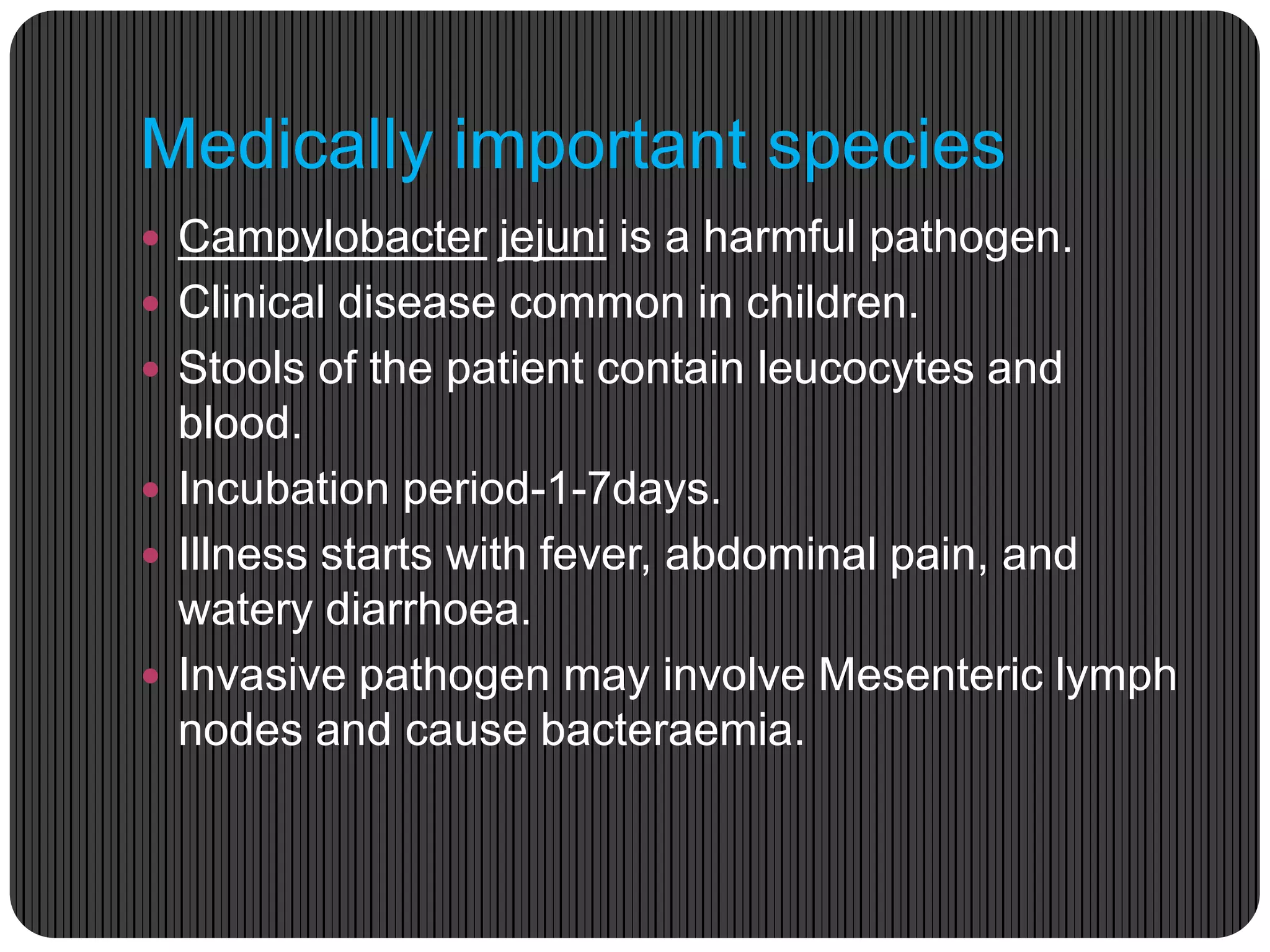 Campylobacter | PPTX