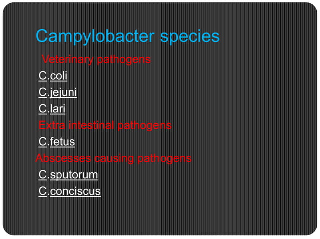 Campylobacter | PPTX