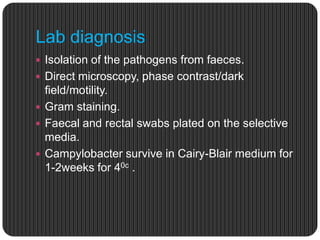 Campylobacter | PPTX