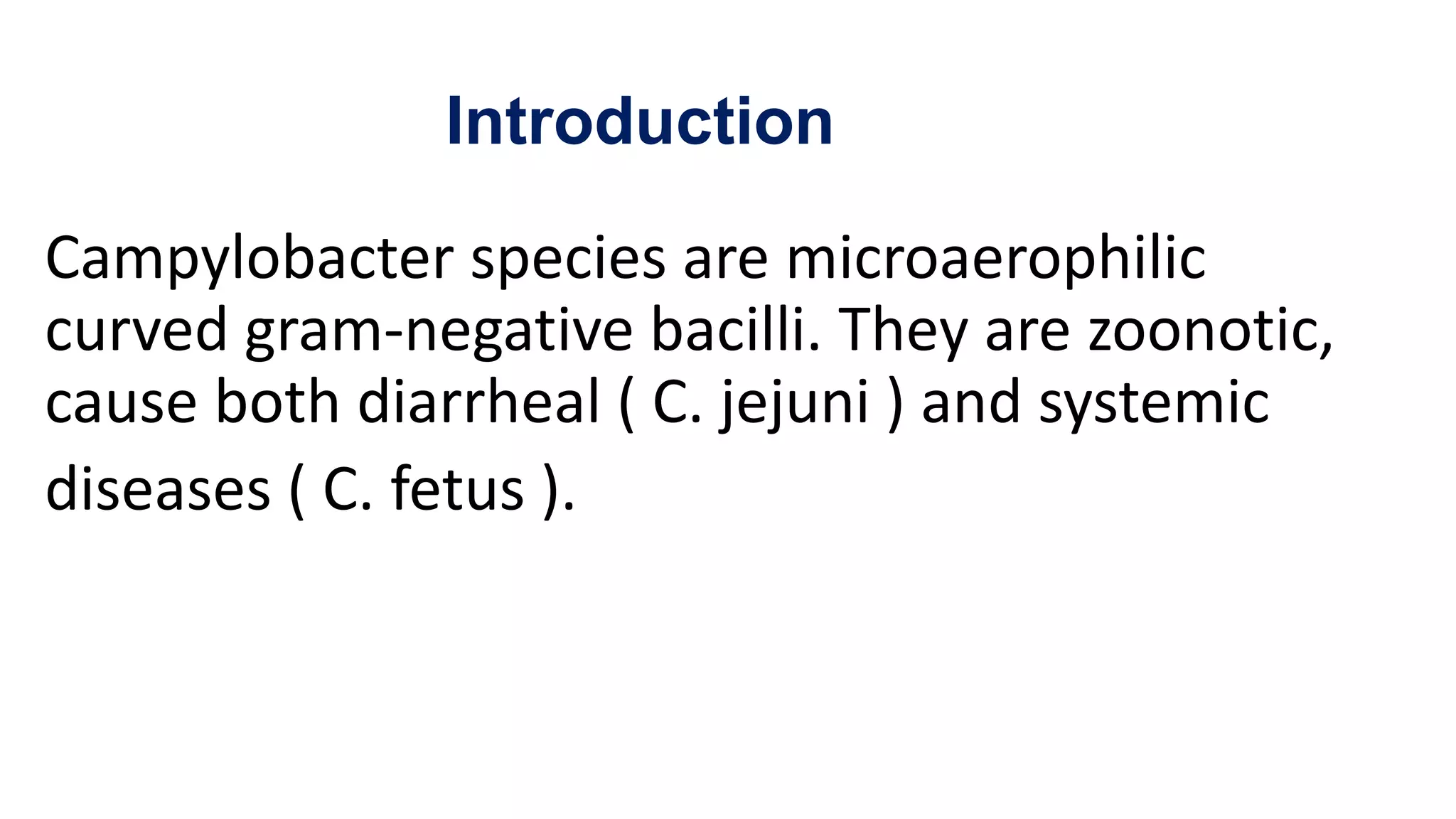 Campylobacter | PPTX