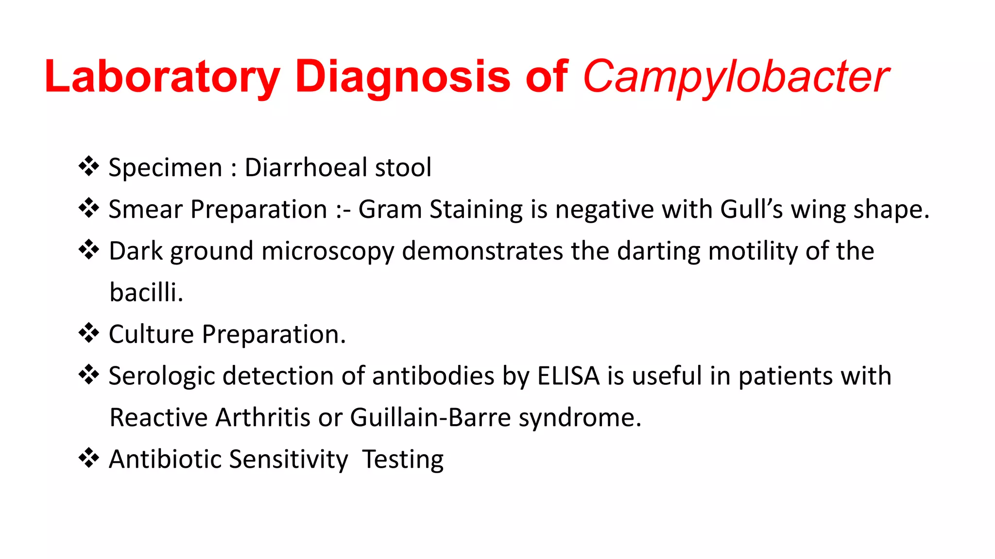 Campylobacter | PPTX