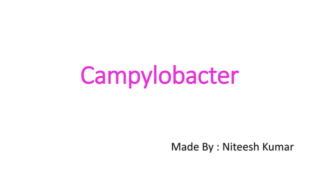 Campylobacter | PPTX