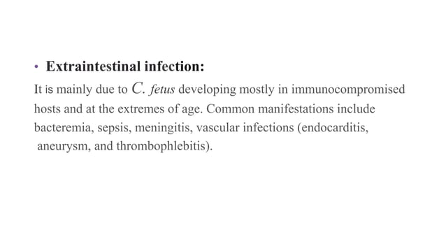 Campylobacter | PPTX