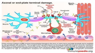 Campylobacter | PPTX