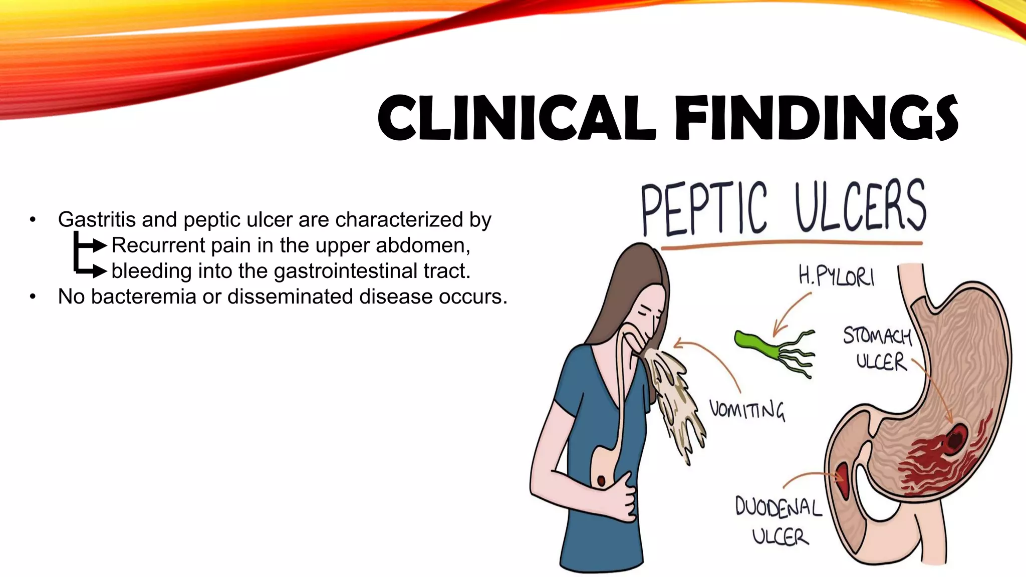CAMPYLOBACTER & HELICOBACTER (Curved Gram-Negative Rods affecting the ...