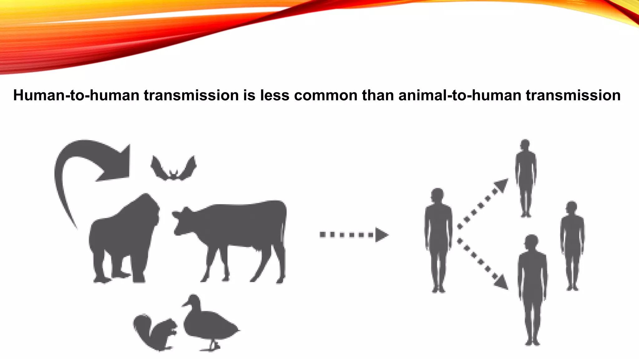 CAMPYLOBACTER & HELICOBACTER (Curved Gram-Negative Rods affecting the ...