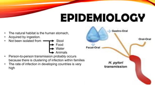 CAMPYLOBACTER & HELICOBACTER (Curved Gram-Negative Rods affecting the ...