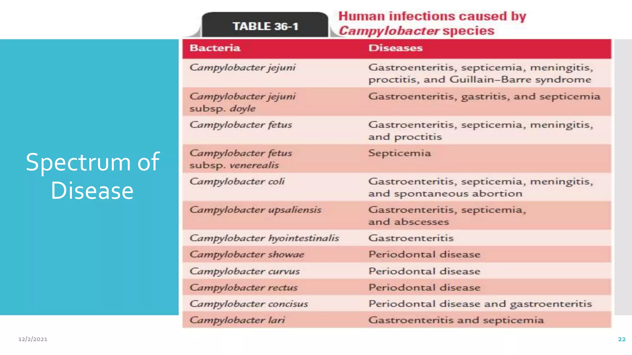 Campylobacter.pptx