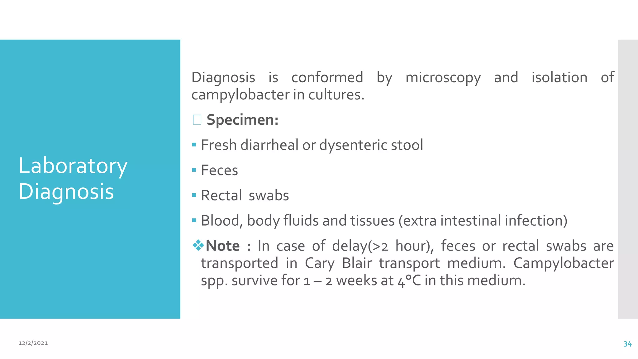 Campylobacter.pptx