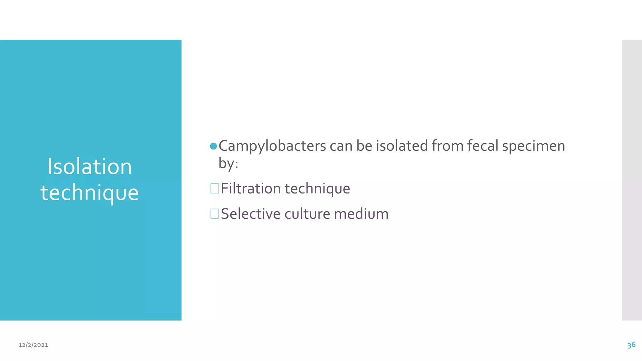 Campylobacter.pptx