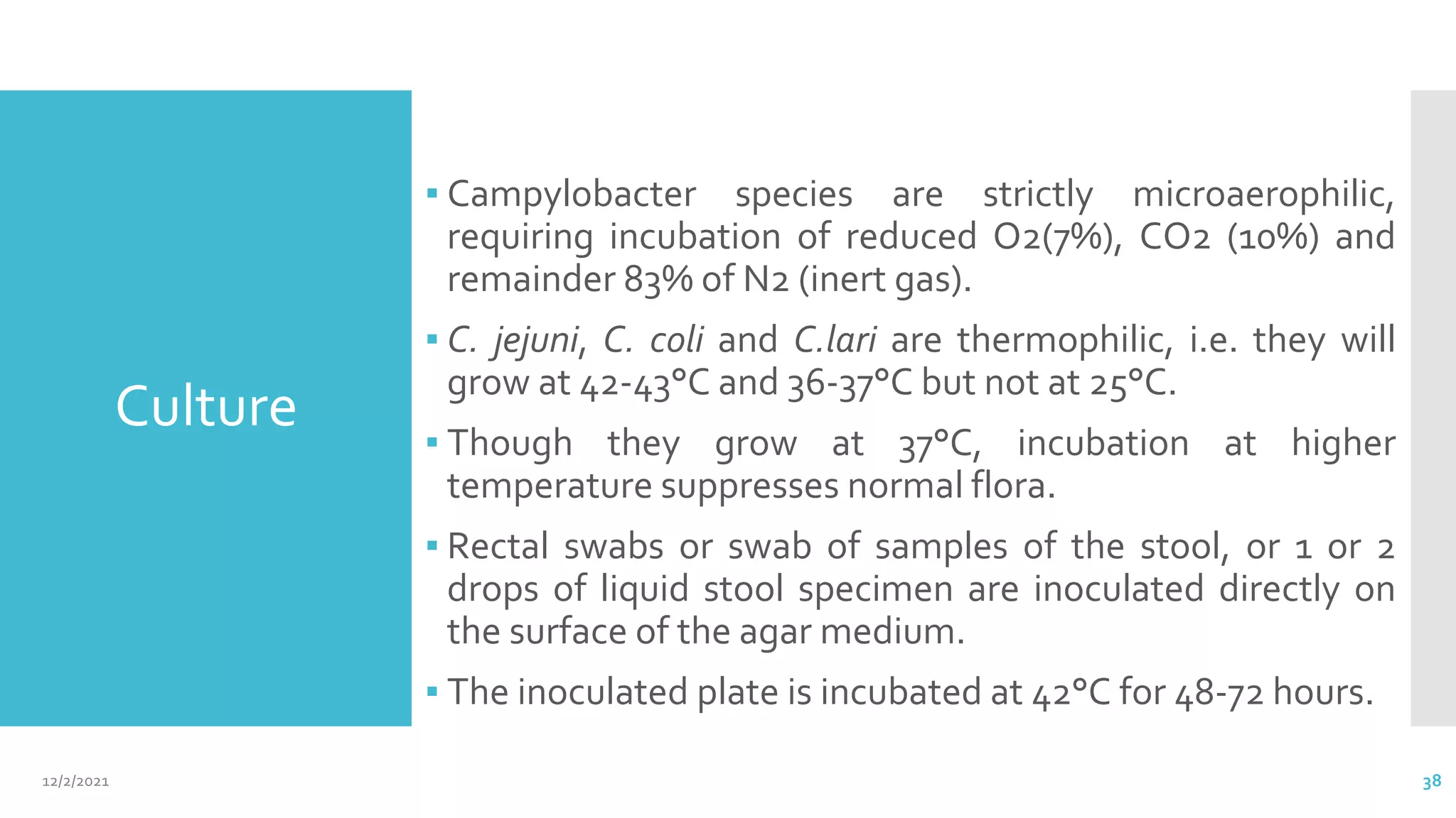 Campylobacter.pptx