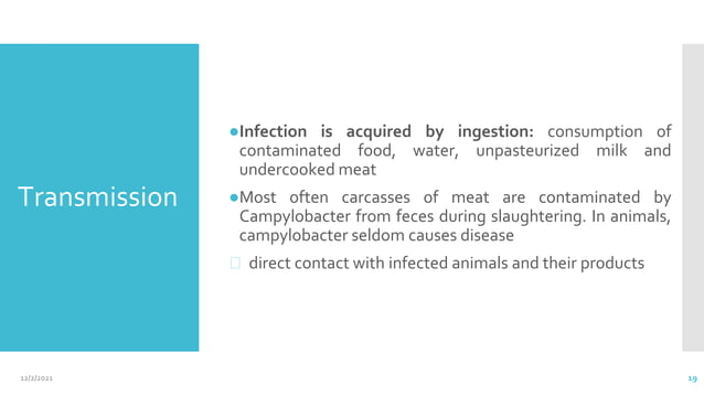Campylobacter.pptx | Digestive Disorders | Diseases and Conditions