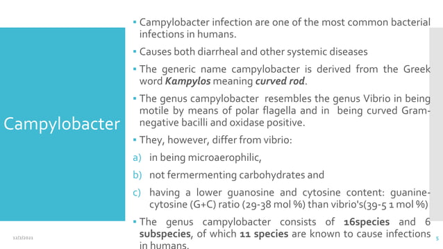 Campylobacter.pptx | Digestive Disorders | Diseases and Conditions