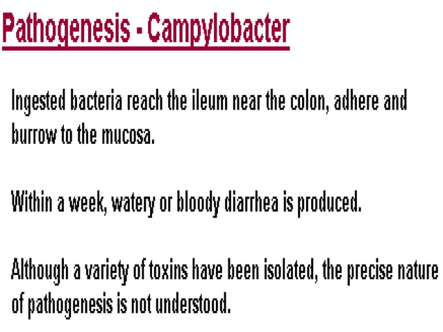 Campylobacter & helicobacter | PPT